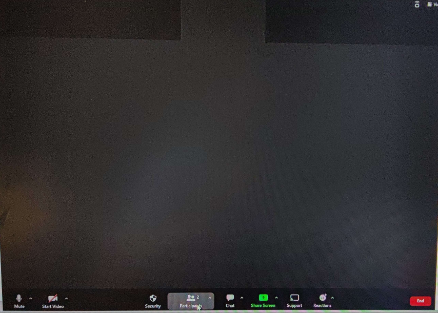 Bug: Zoom VDI + Screen Capture Protection = Blank Zoom – Azure to the Max