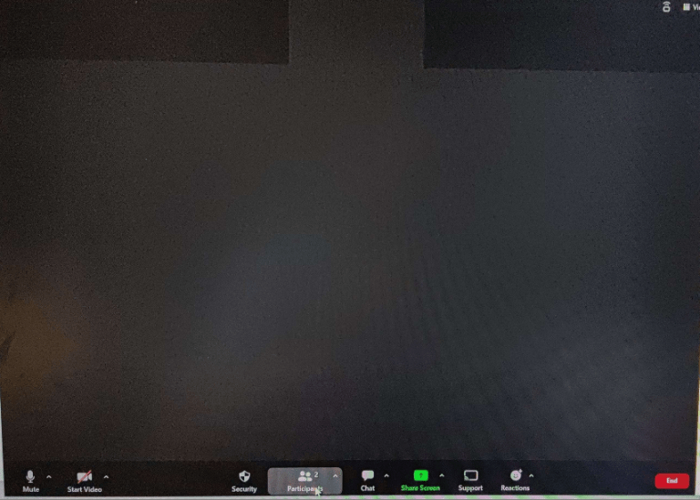 Bug: Zoom VDI + Screen Capture Protection = Blank Zoom – Azure to the Max
